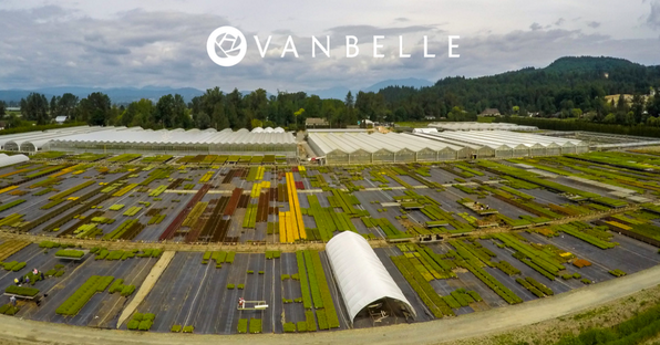 Van Belle Nursery - Van Belle Nursery Inc.