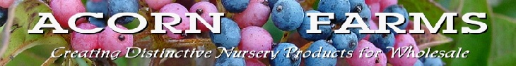 Acorn Farms - Acorn Farms Nursery