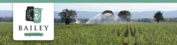 Bailey Nurseries - Catalogs: Bailey Nurseries